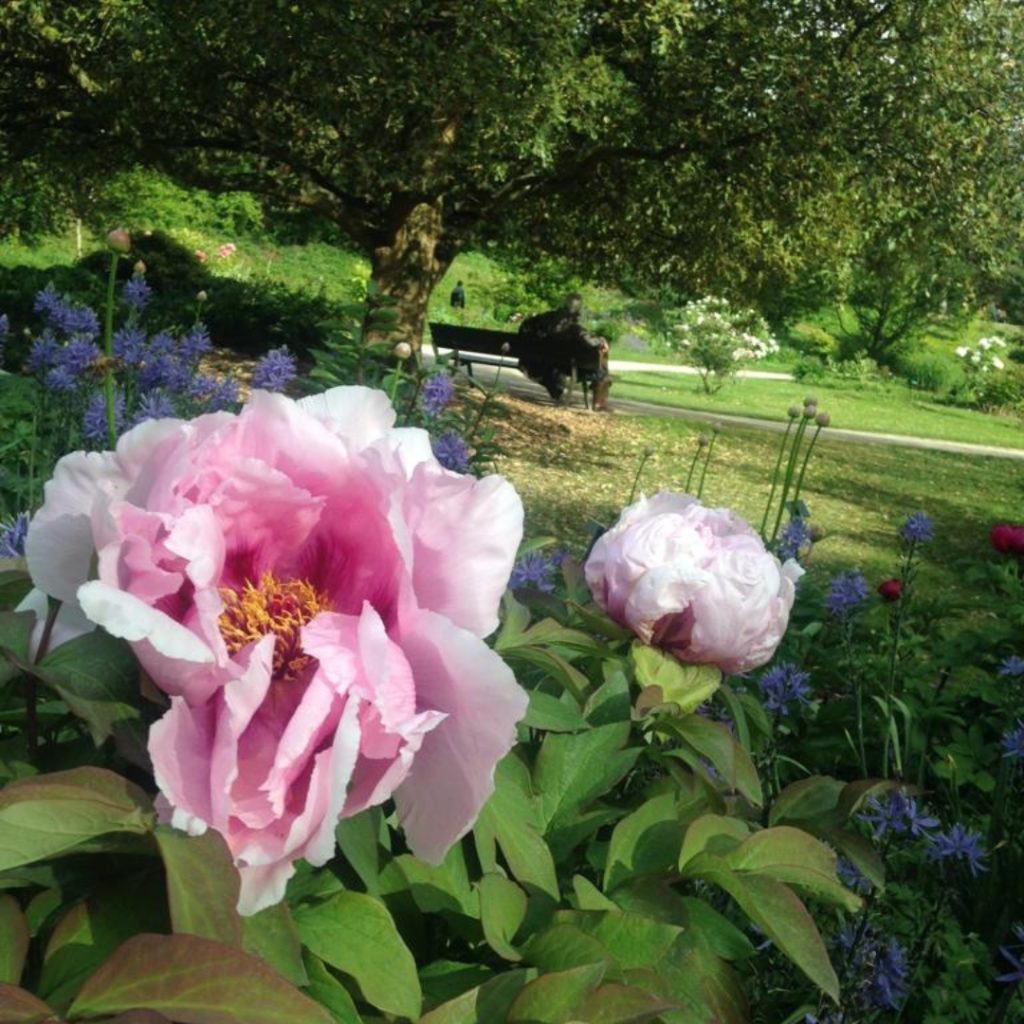 Parc Floral de Paris : 35 Ha de nature dans la capitale