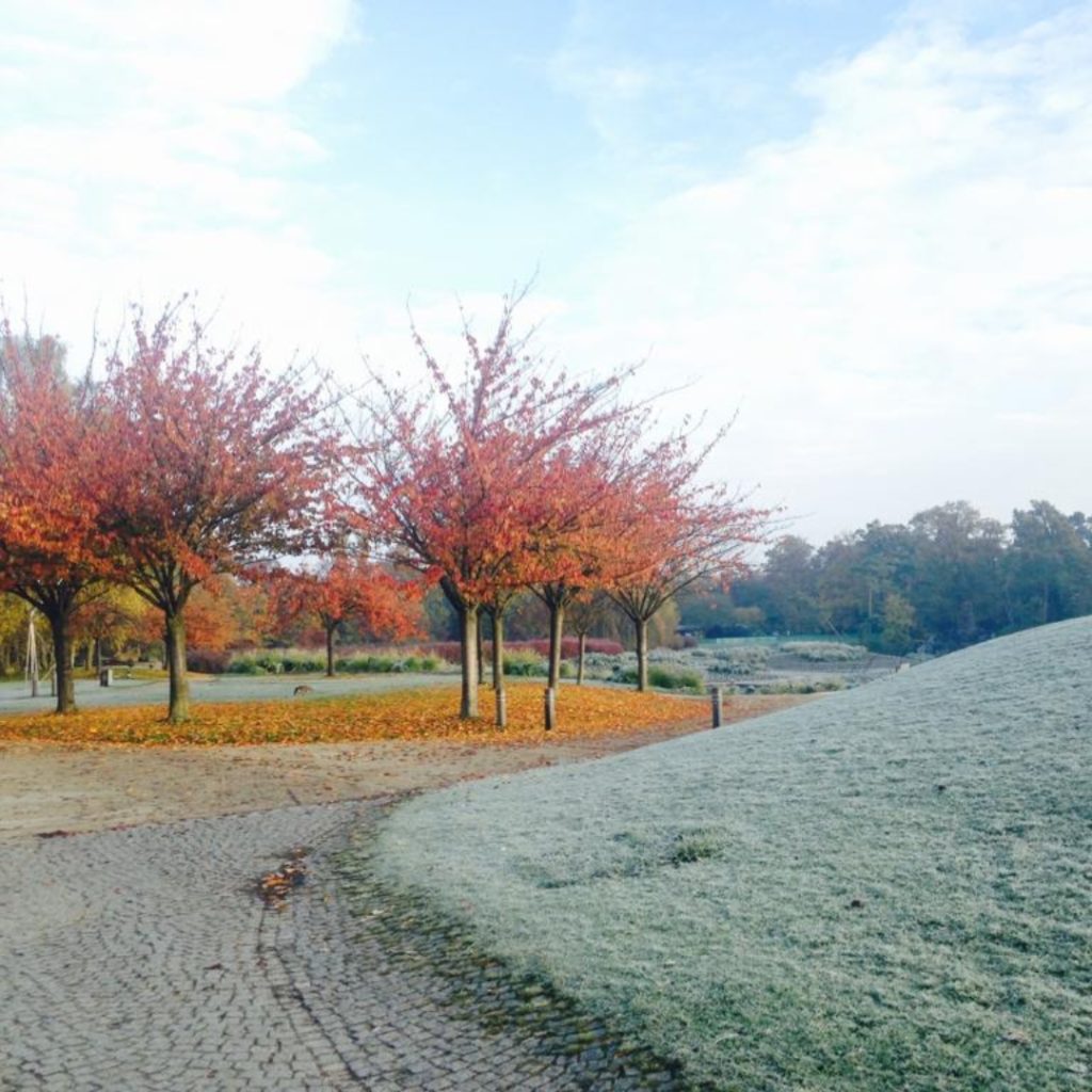 Parc Floral de Paris : 35 Ha de nature dans la capitale