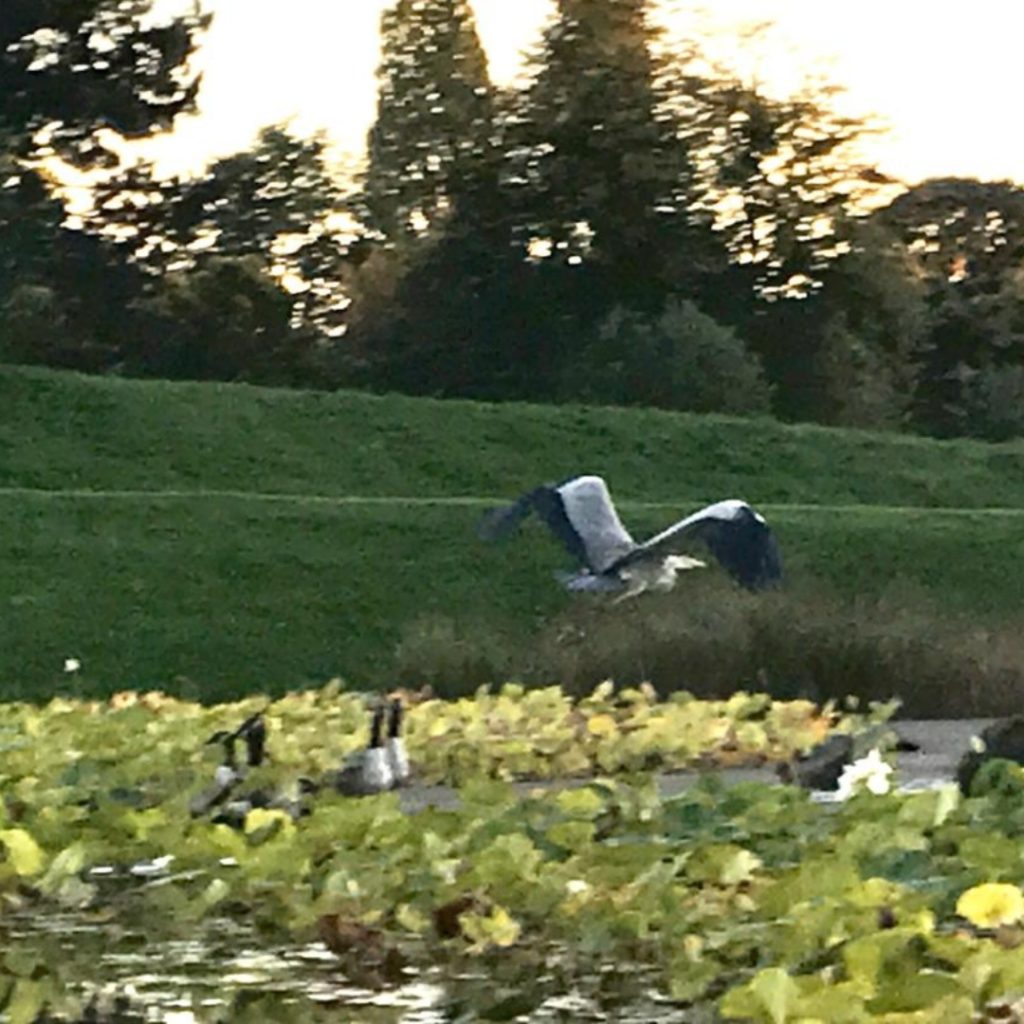 Parc Floral de Paris : 35 Ha de nature dans la capitale