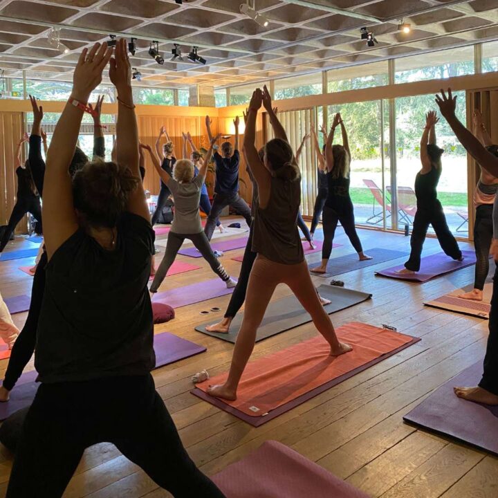 Yoga Vinyasa Flow : les bienfaits | Espace City'zen Paris