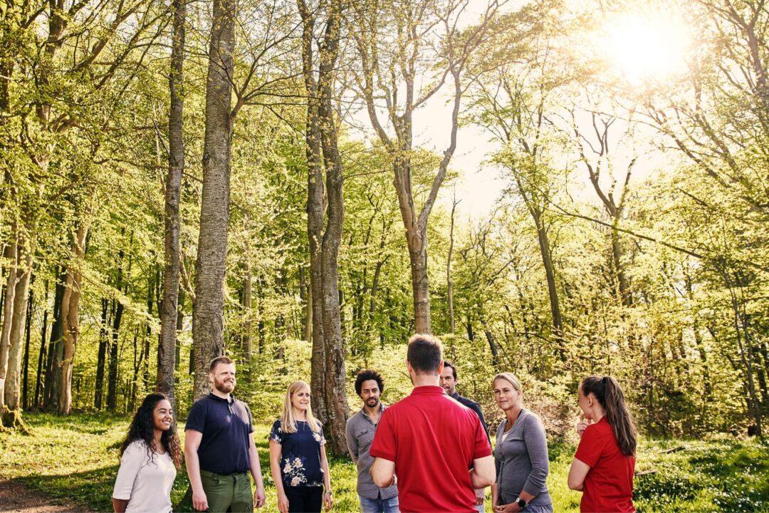 11 raisons d'organiser un séminaire insolite dans la nature